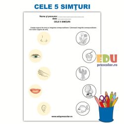 Simturile - fisa de lucru | Eduprescolar.ro