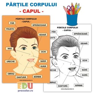 Partile corpului - capul - plansa si fisa de lucru | Eduprescolar.ro