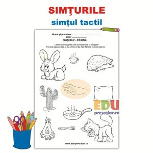 Simturile - pipaitul - fisa de lucru | Eduprescolar.ro