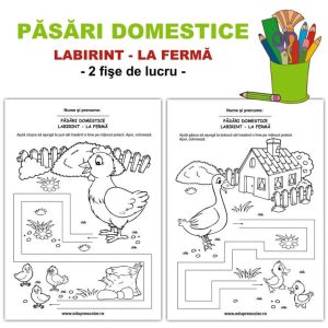 Pasari domestice - labirint la ferma | Eduprescolar.ro